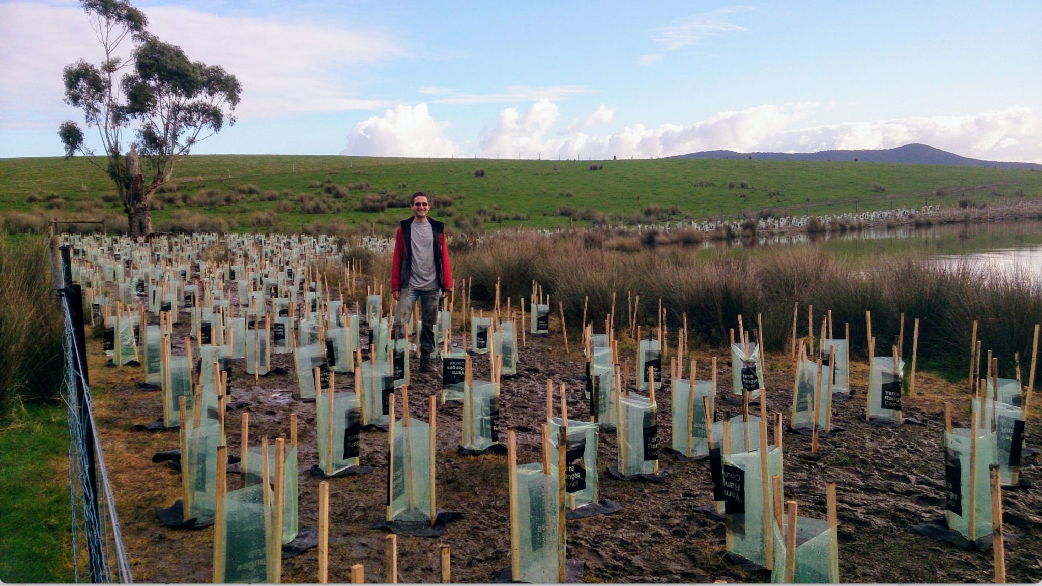 Why regenerate land? | TreeProject