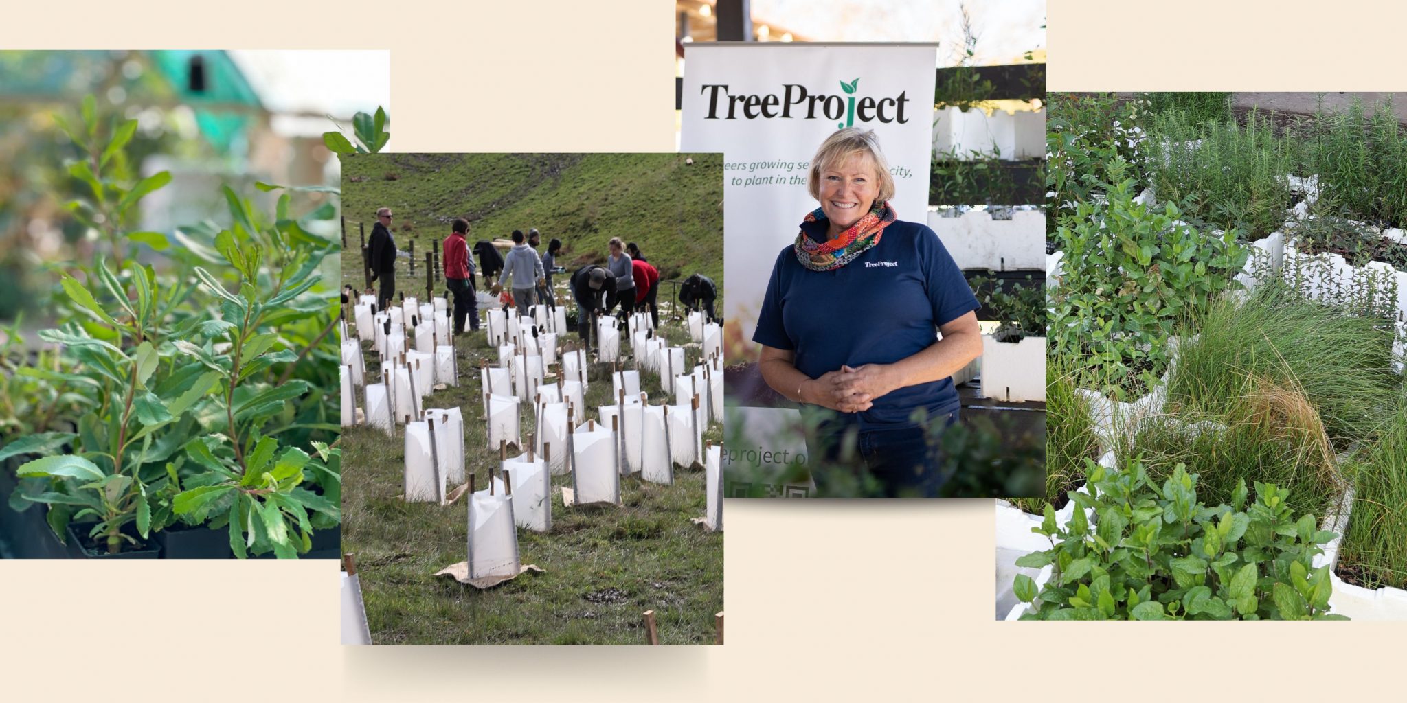 Donate towards a Tree Planting Day | TreeProject