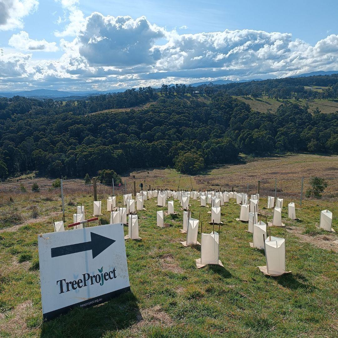 Victorian Trees on Farms Grants | TreeProject